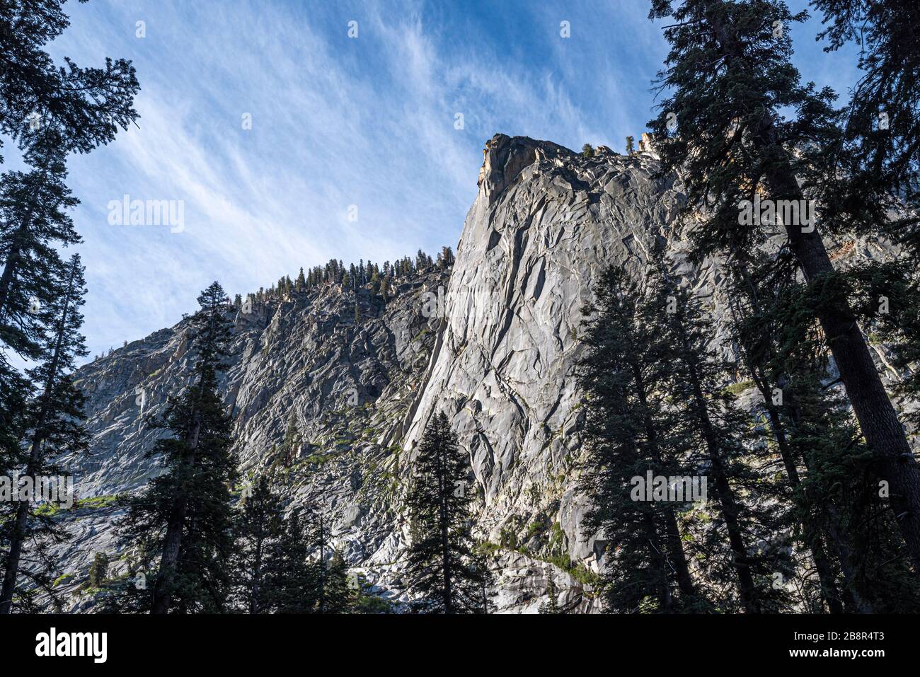 The watchtower sequoia hi-res stock photography and images - Alamy