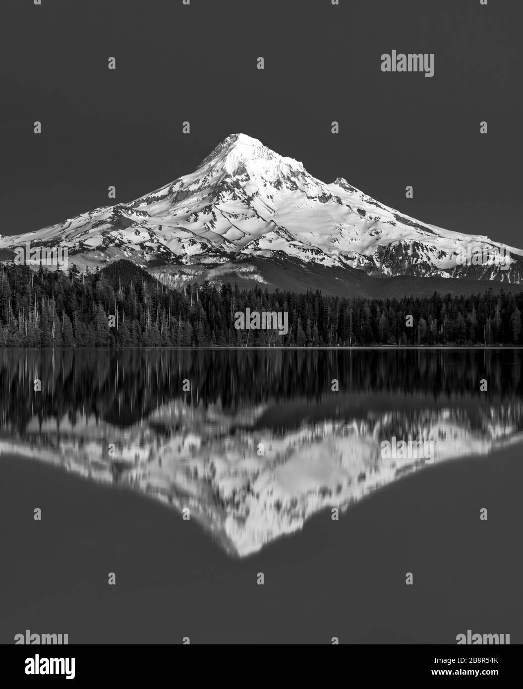 Mountain forest wilderness in Black and White Stock Photos & Images - Alamy