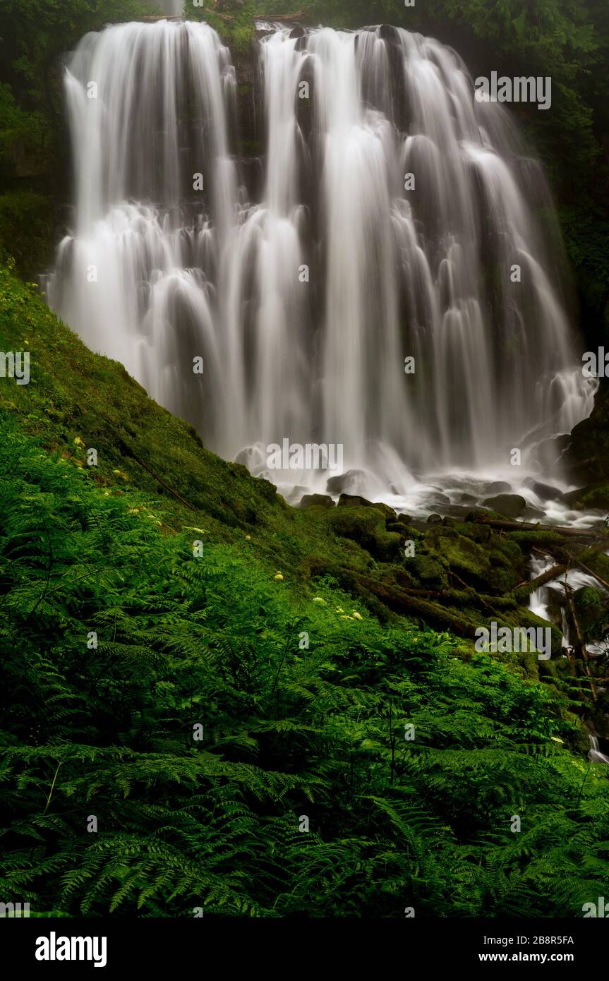 Marion mountain hi-res stock photography and images - Alamy