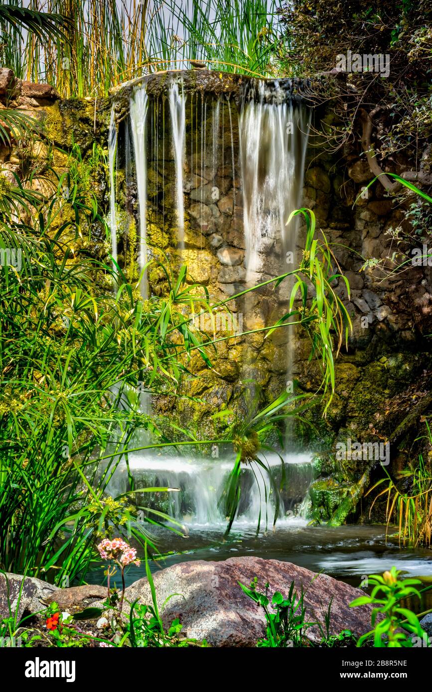 The Botanical Gardens in Eilat, Israel, Middle East Stock Photo - Alamy