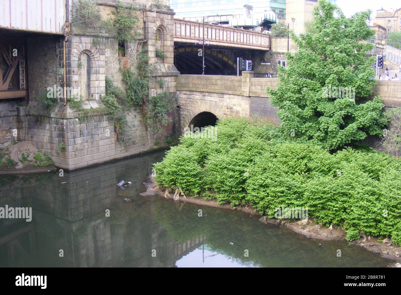 P hogg hi-res stock photography and images - Alamy