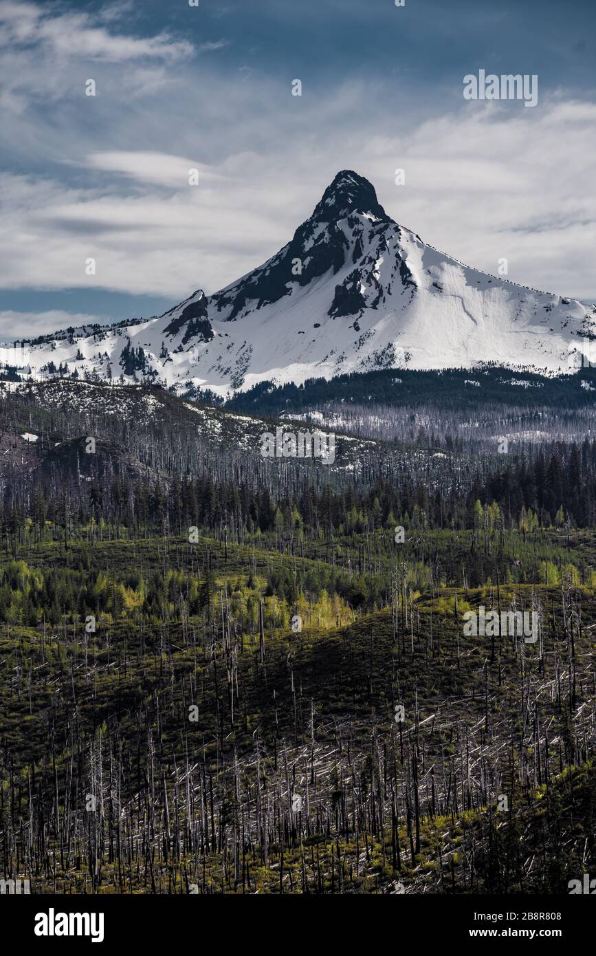 Mountain in Oregon Stock Photo - Alamy