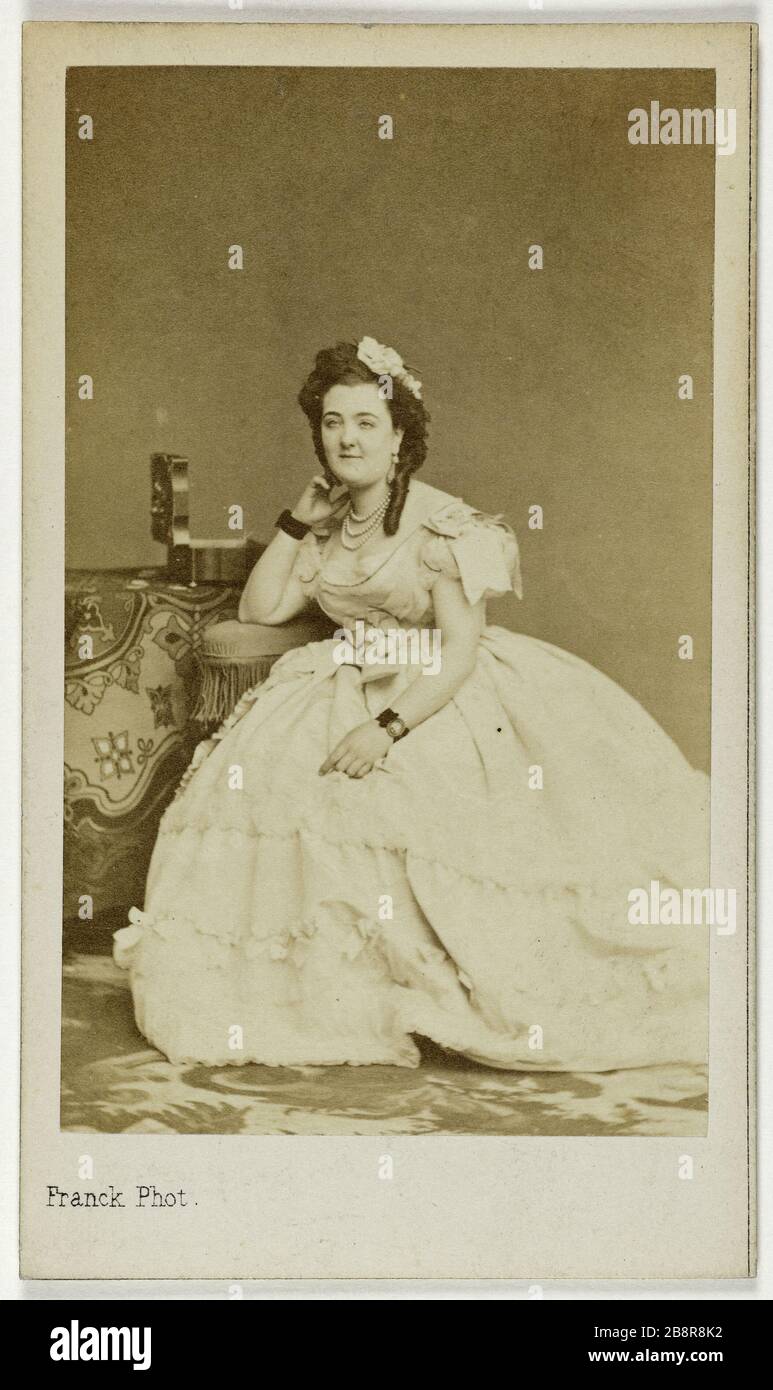 Gillus hi-res stock photography and images - Alamy