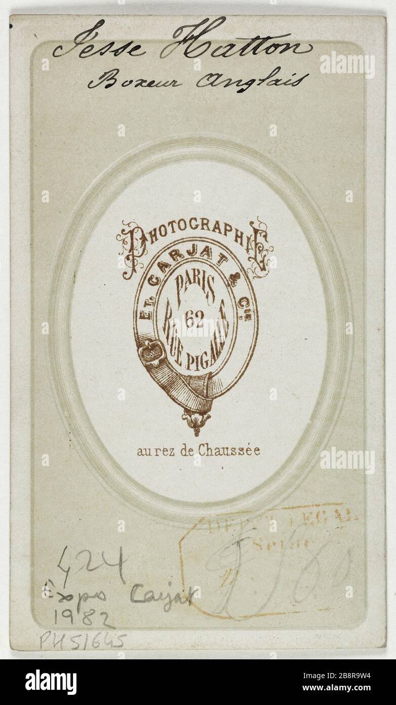 English boxer hi-res stock photography and images - Alamy