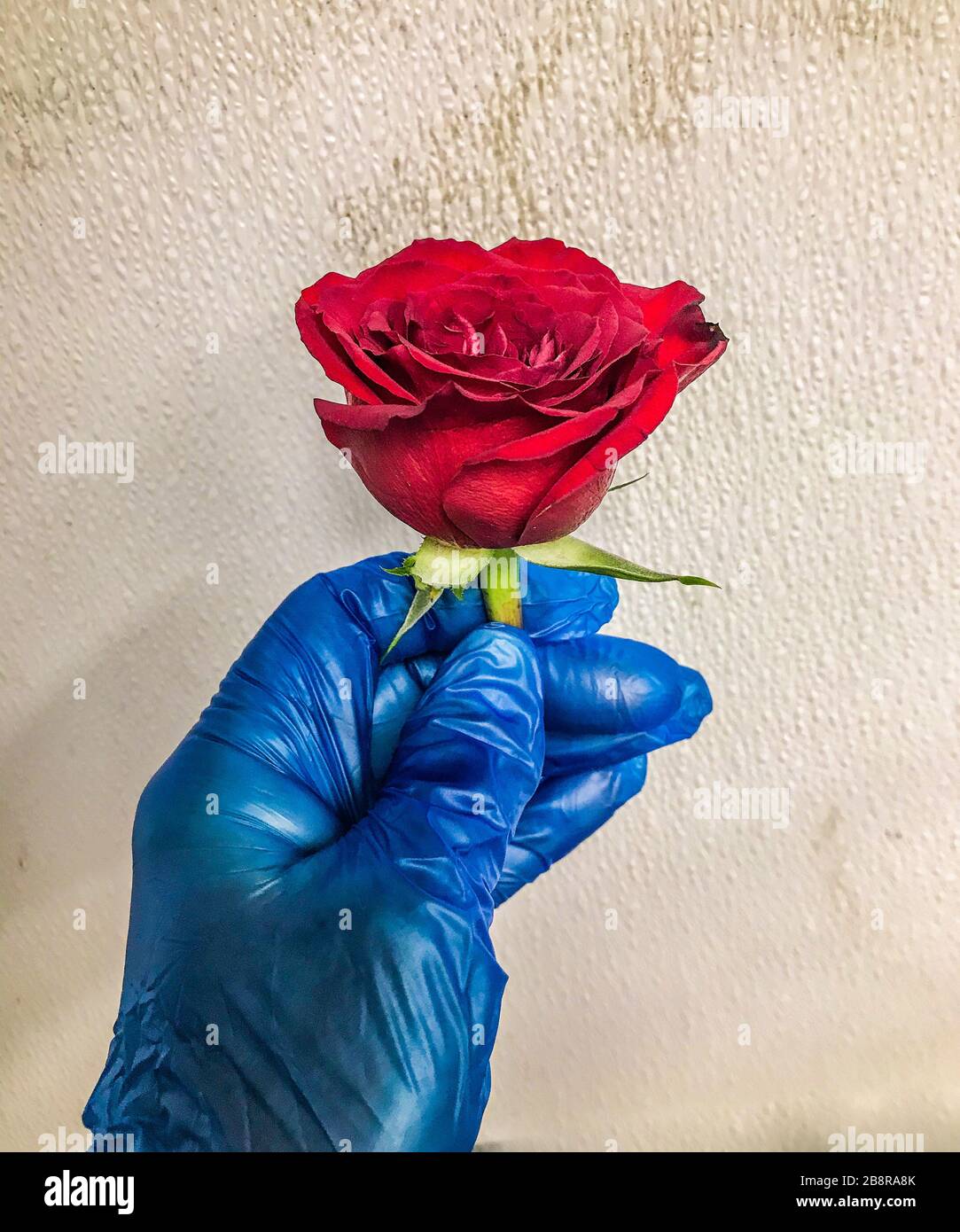 Safety first gloves hi-res stock photography and images - Alamy