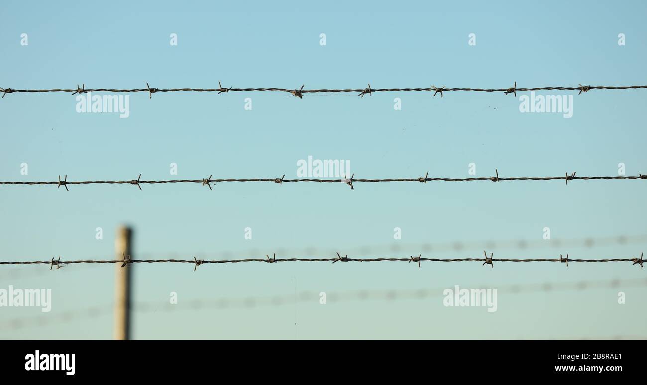 3 horizontal parallel lines of barbed barb wire fencing with faint ...