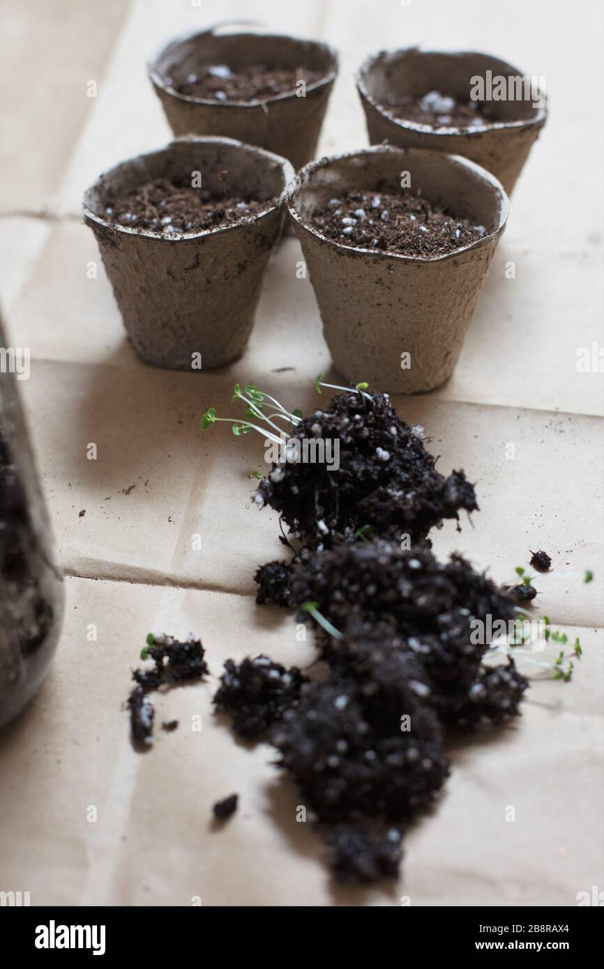 Biodegradable plants hi-res stock photography and images - Alamy