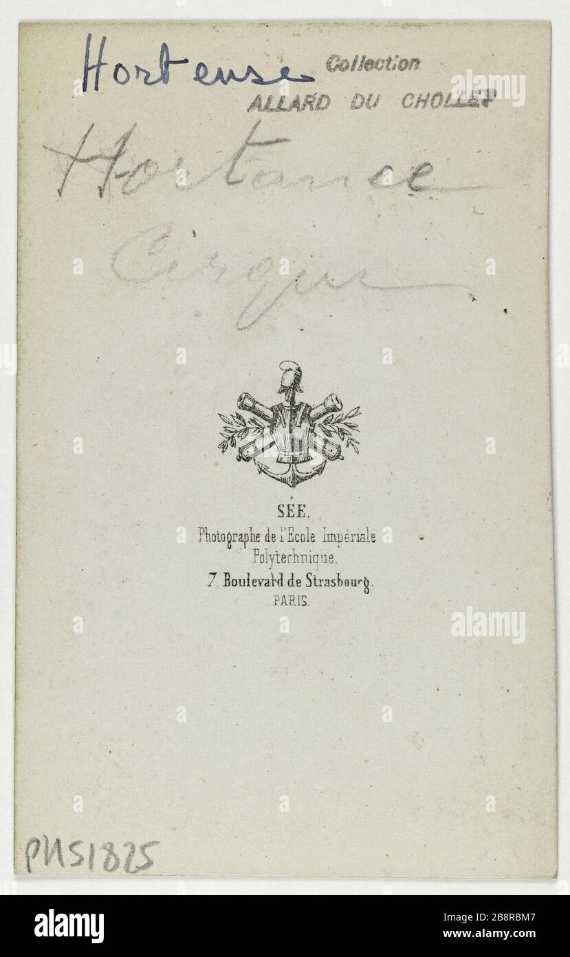 Portrait of Hortense (artist) Portrait de Hortense, (artiste). Carte de ...