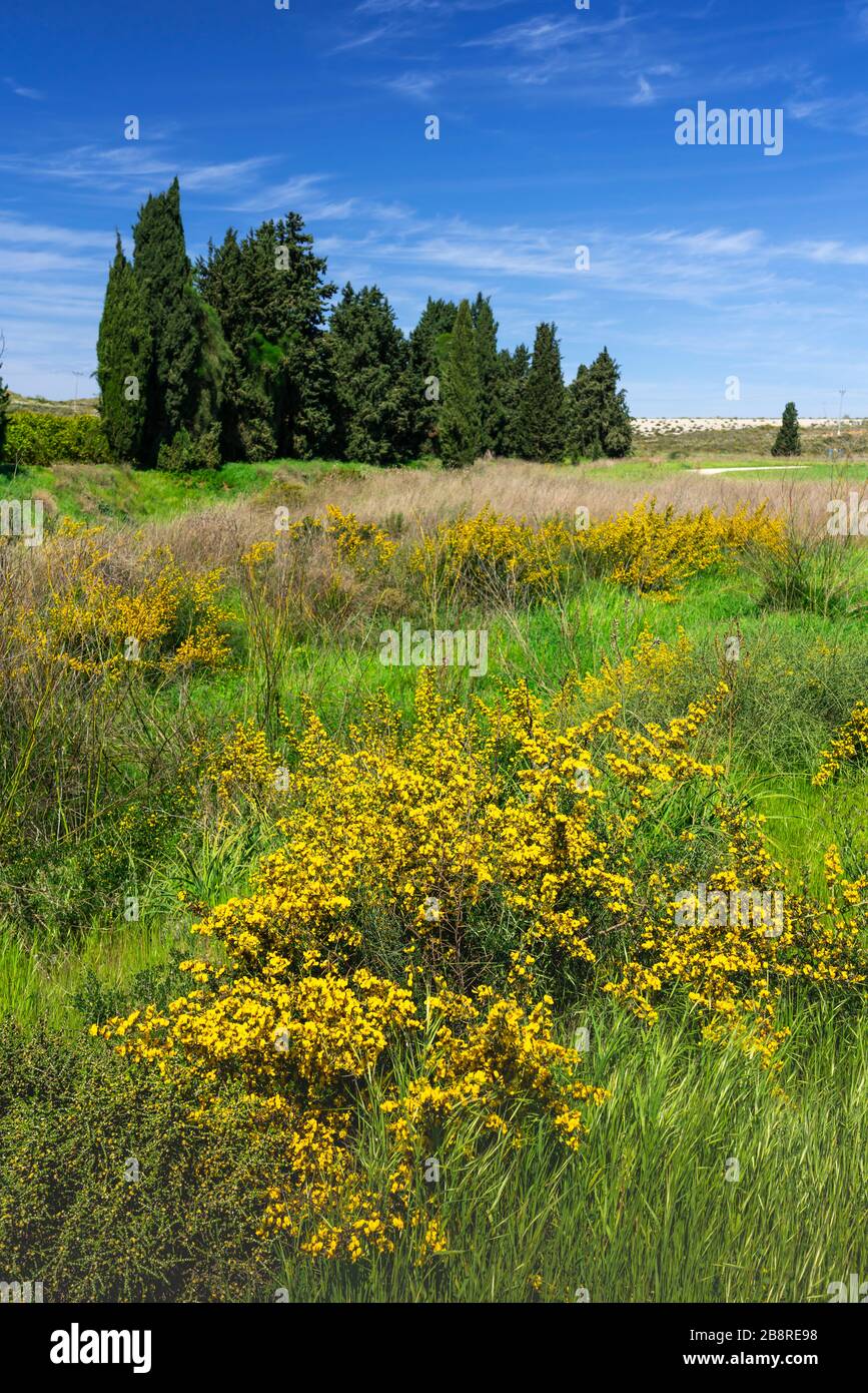 Scottoish hi-res stock photography and images - Alamy