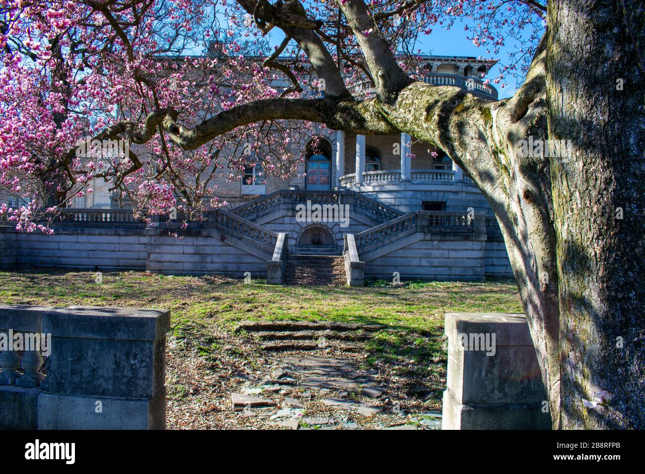A Courtyard at the Elkins Estate With a Blooming Pink Cherry Blossom ...