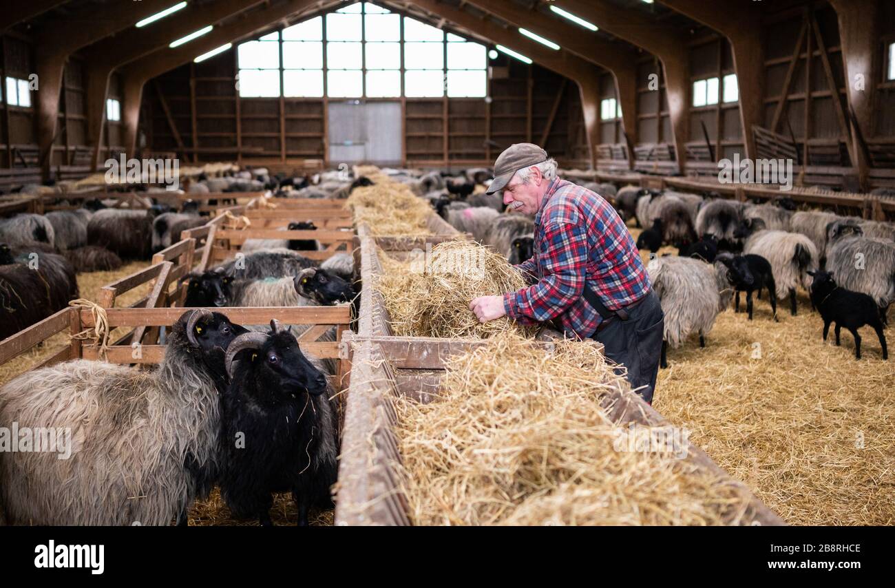 Heathens hi-res stock photography and images - Alamy