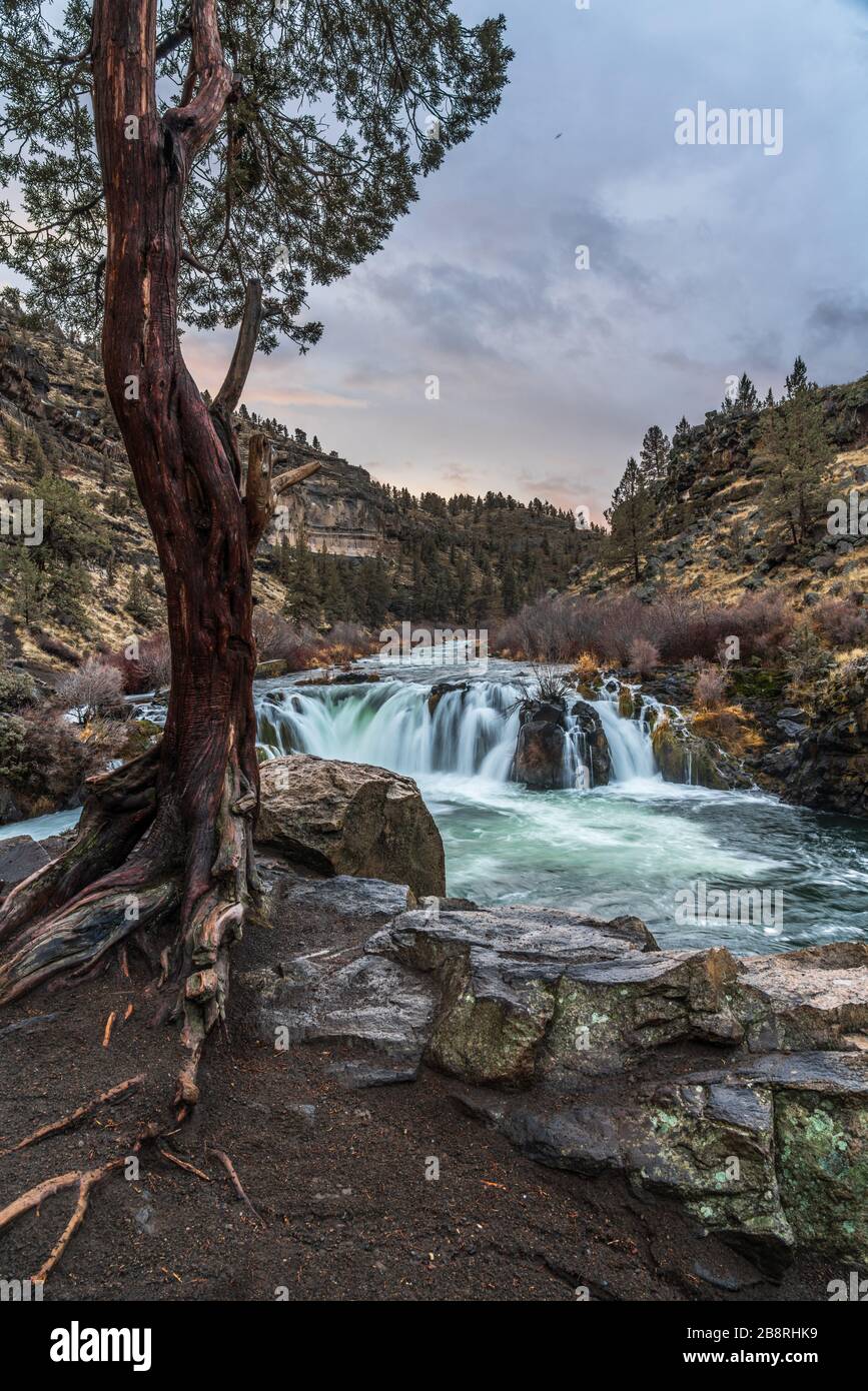 Steelhead falls hi-res stock photography and images - Alamy