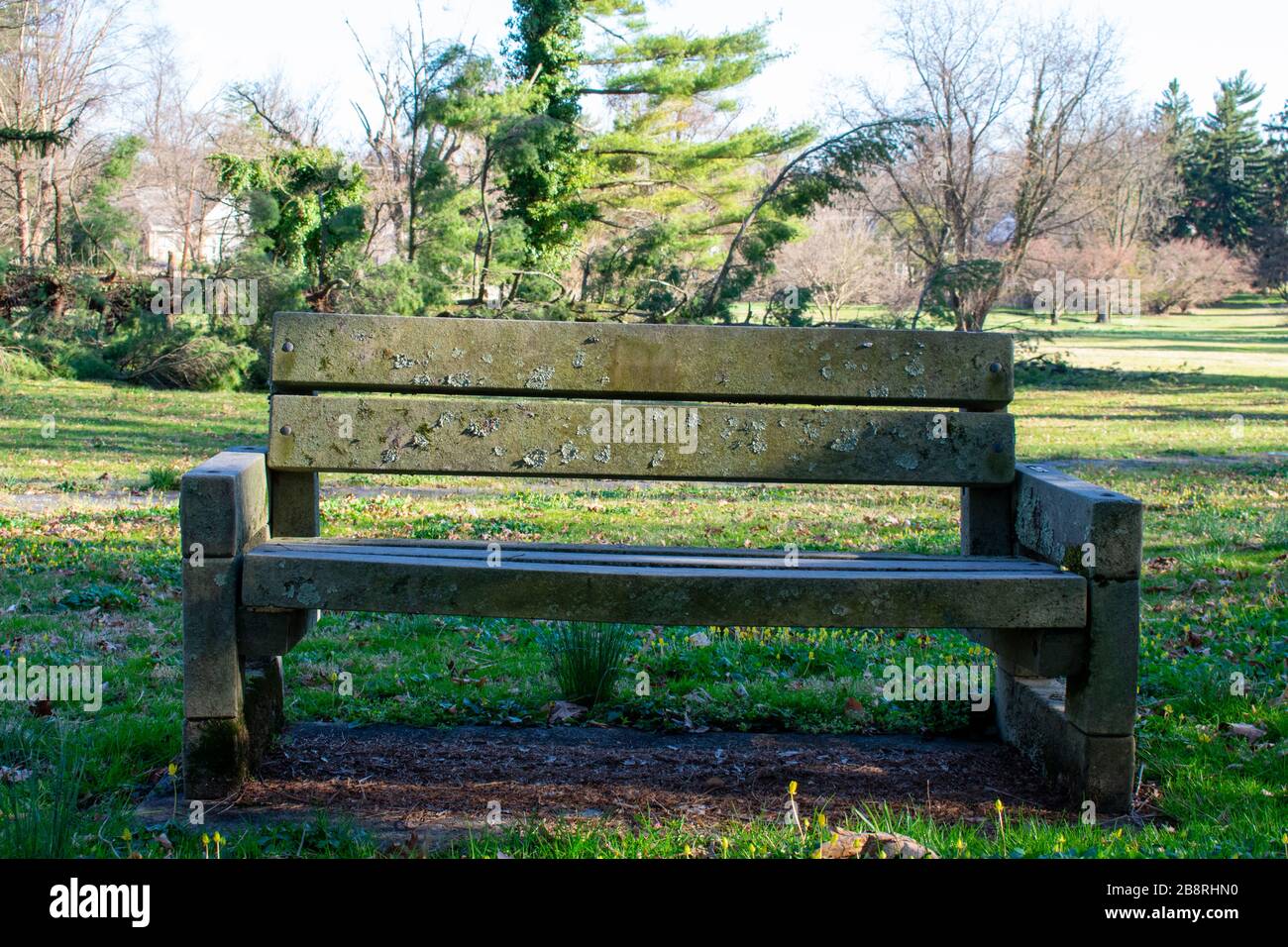 Bench with fallen tree behind it hi-res stock photography and images ...