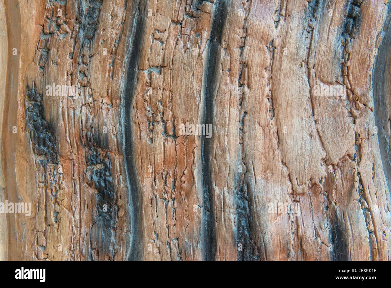 cement stone wall texture for background, wood style Stock Photo - Alamy