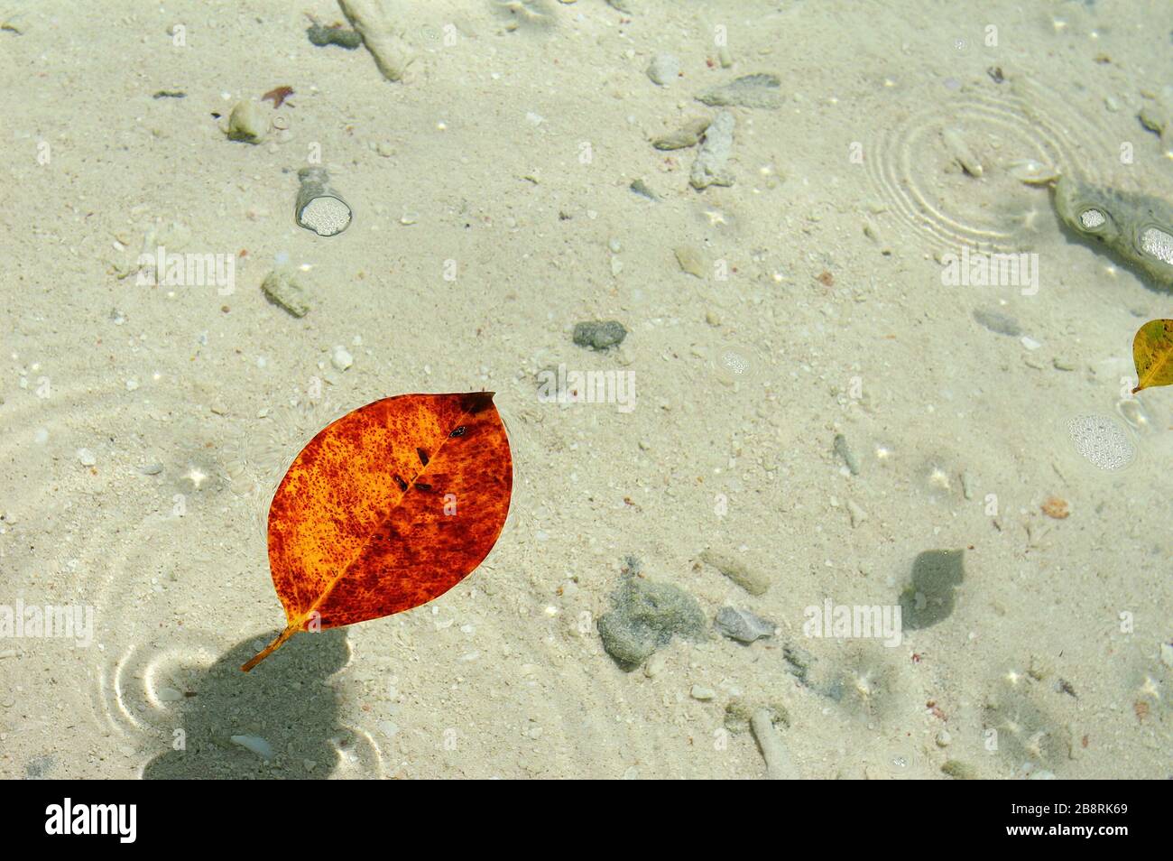 Beautiful natural landscape of the rock islands at Micronesian Country ...
