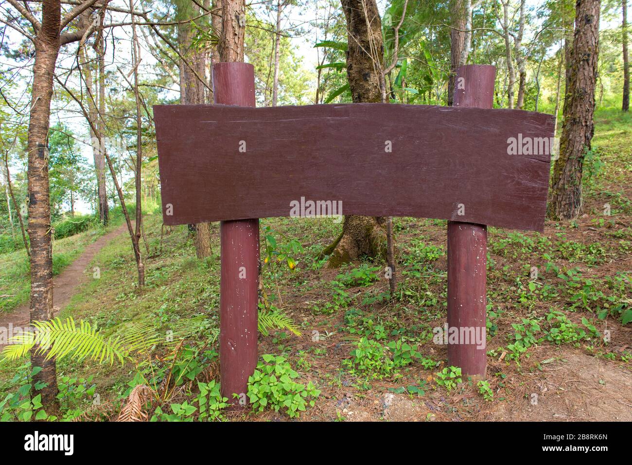 wood sign or billboard for advertisement in a forest Stock Photo - Alamy
