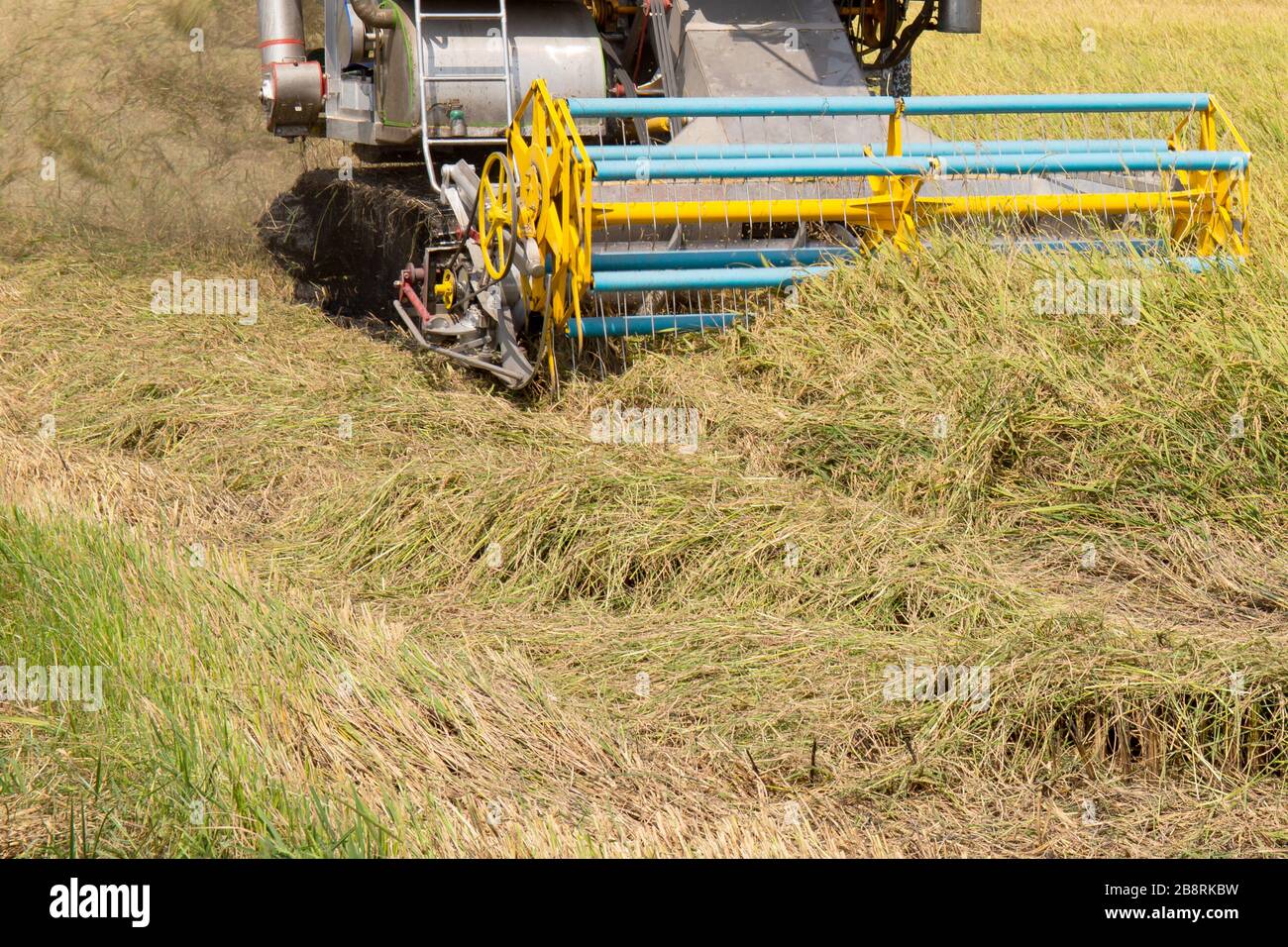 Rice thresher hi-res stock photography and images - Alamy