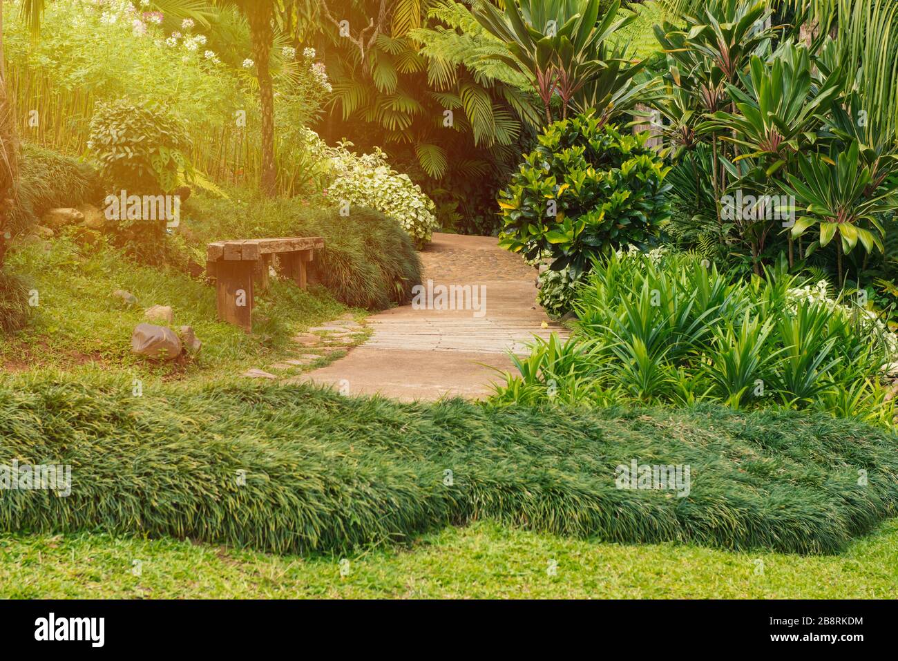 Garden shrub formal pathway hi-res stock photography and images - Alamy