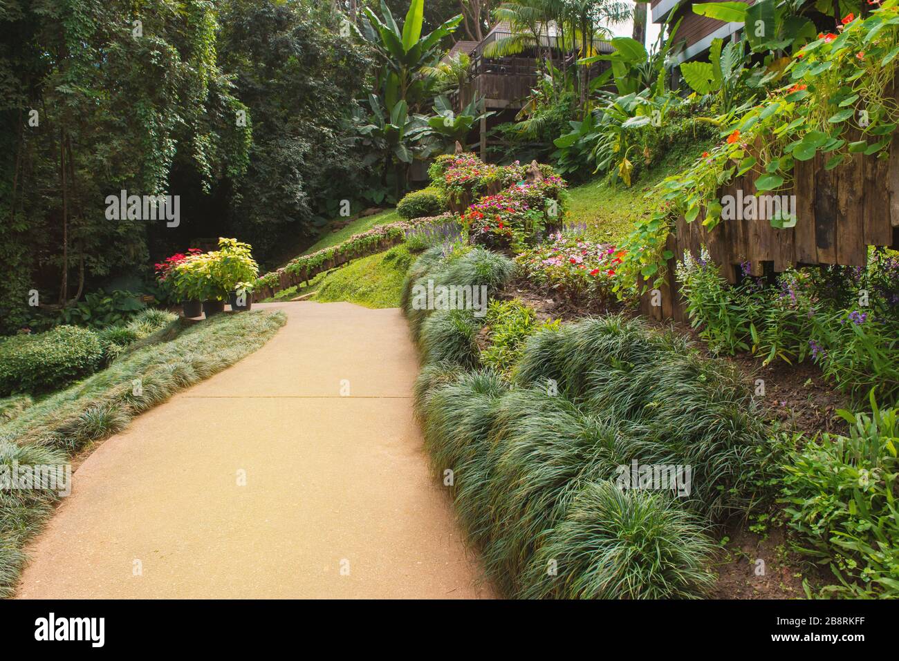 pathway with green grass in garden at public park Stock Photo - Alamy