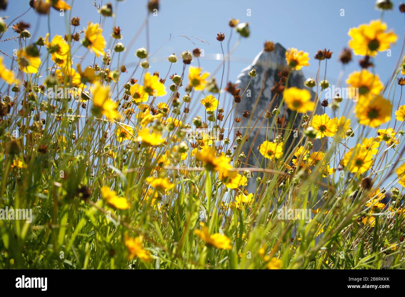 Worms view hi-res stock photography and images - Alamy