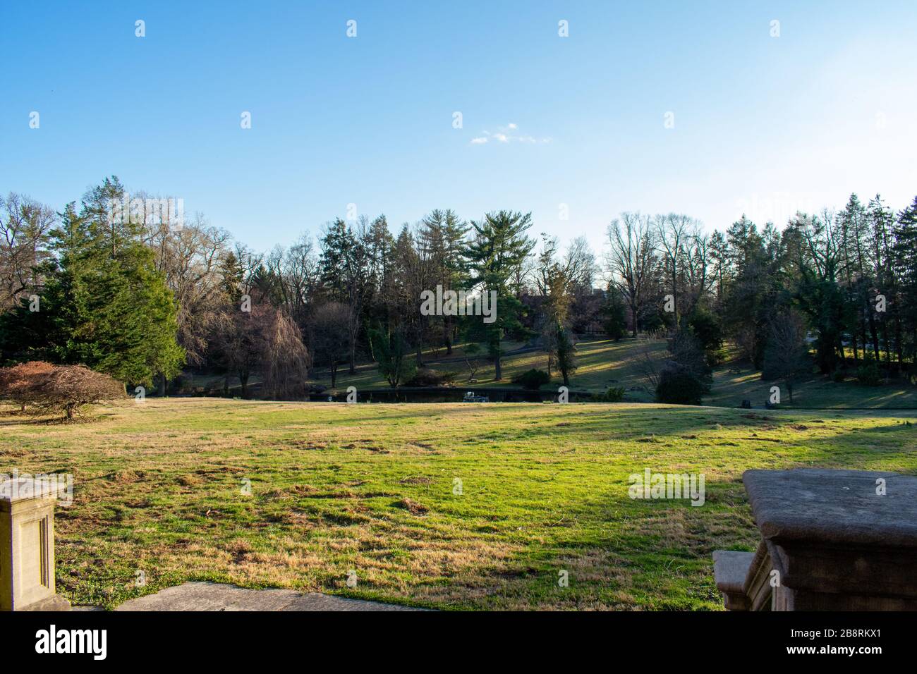 The View From the Elkins House, With Trees a Field and a Pond Stock ...