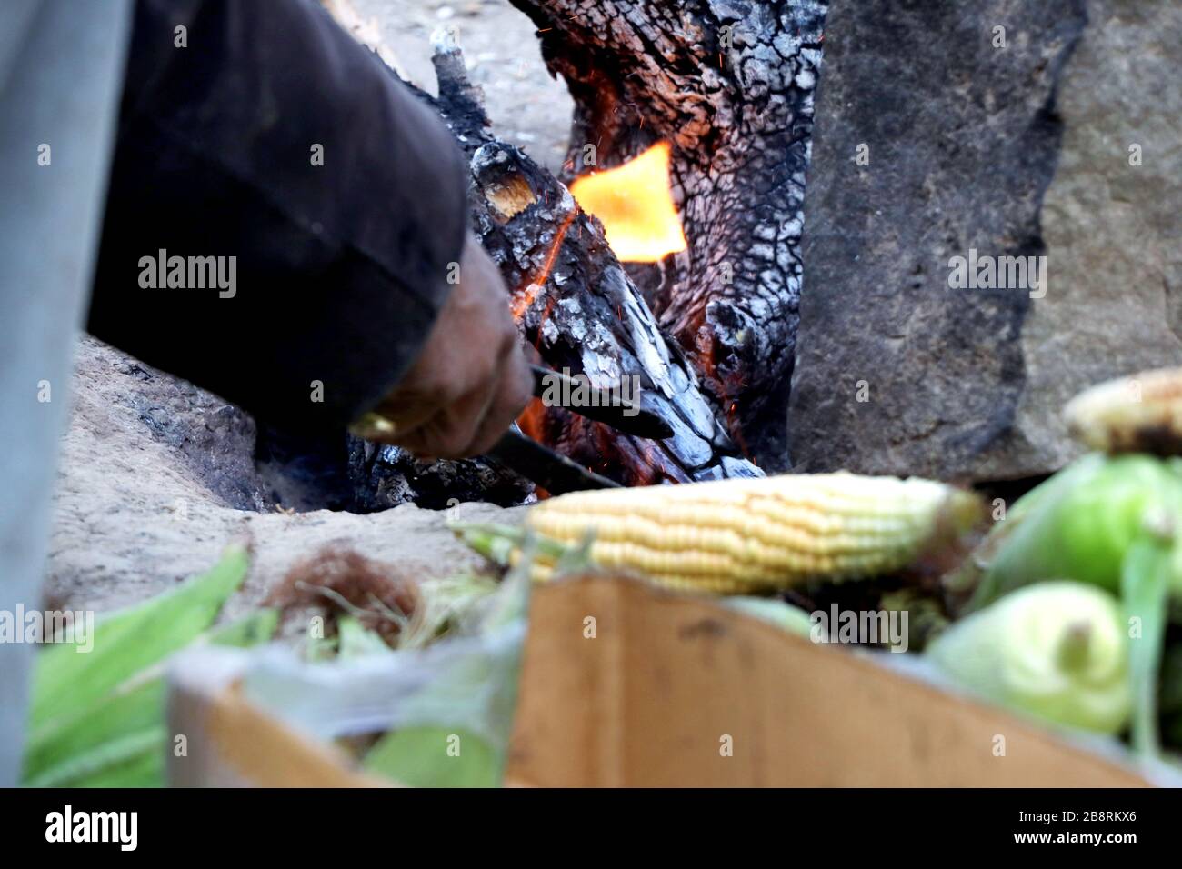 Indian Corn (bhutta) being cooked on burning wood Stock Photo - Alamy