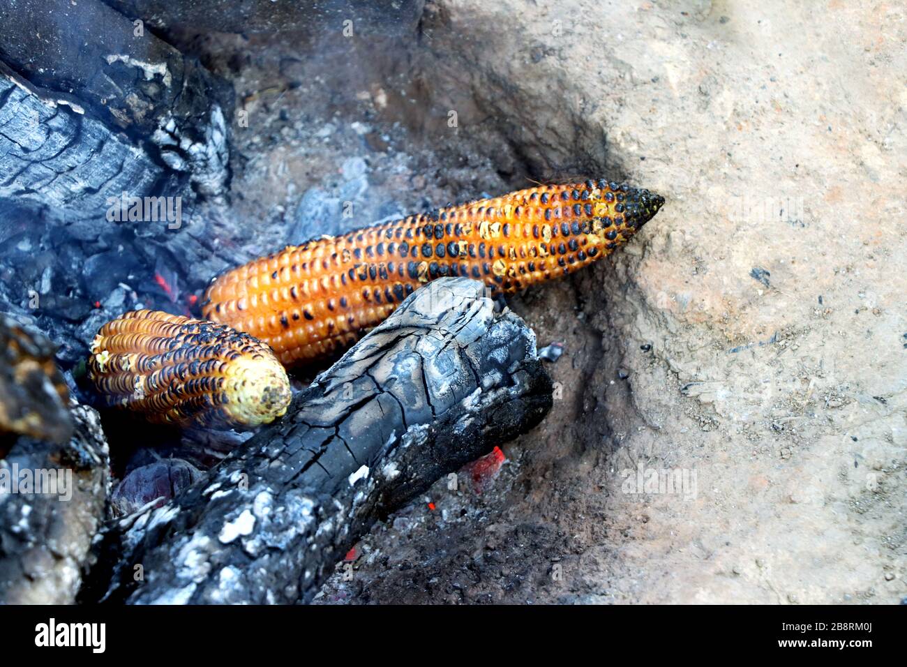 Indian india sweet corn hi-res stock photography and images - Alamy