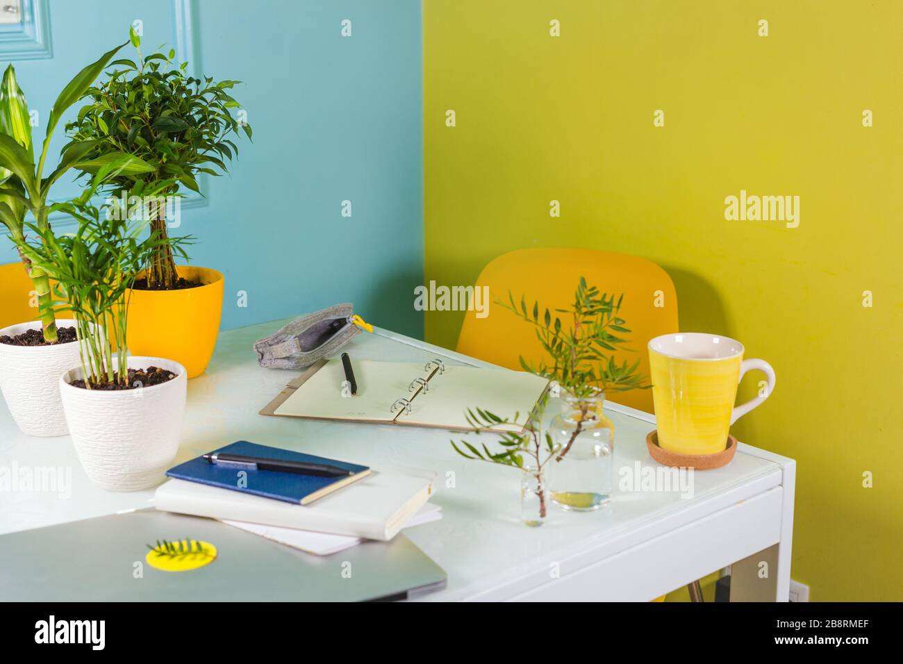 Office with bright walls. Stationery and flowers on the table Stock ...