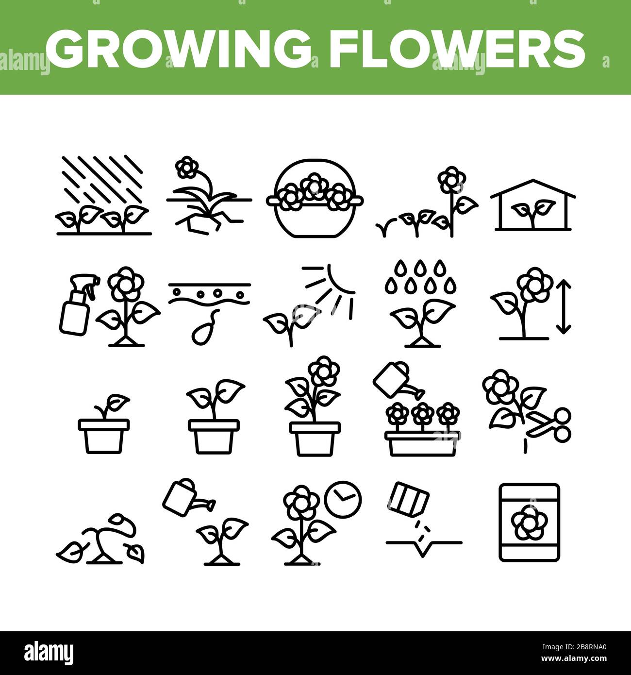 Growing Flowers Plants Collection Icons Set Vector Stock Vector Image ...