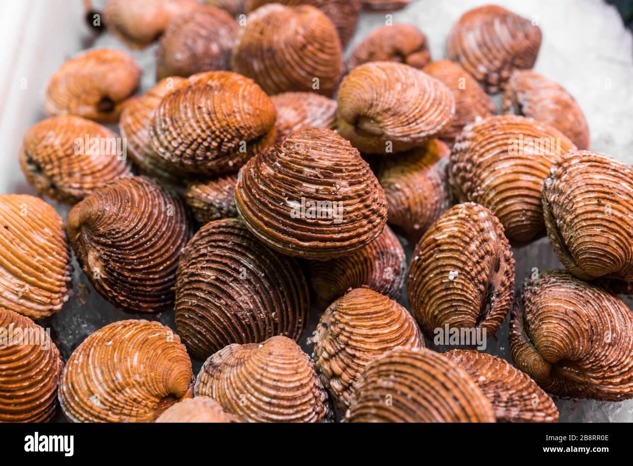 Deli by shell hi-res stock photography and images - Alamy