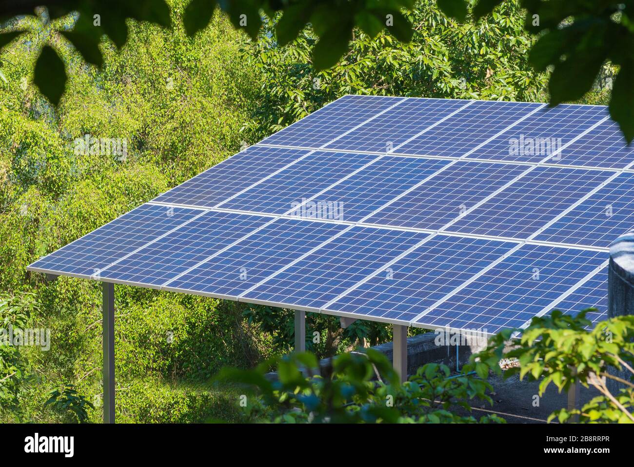 photovoltaic using renewable solar energy in forest Stock Photo - Alamy