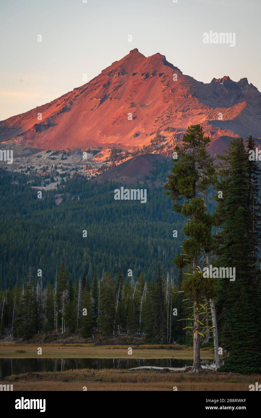 Forest and mountains in background hi-res stock photography and images ...