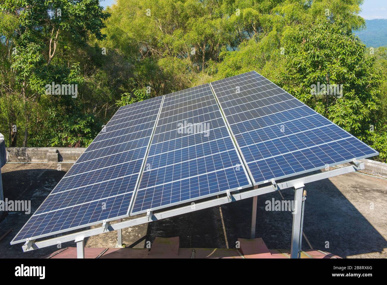 photovoltaic using renewable solar energy in forest Stock Photo - Alamy