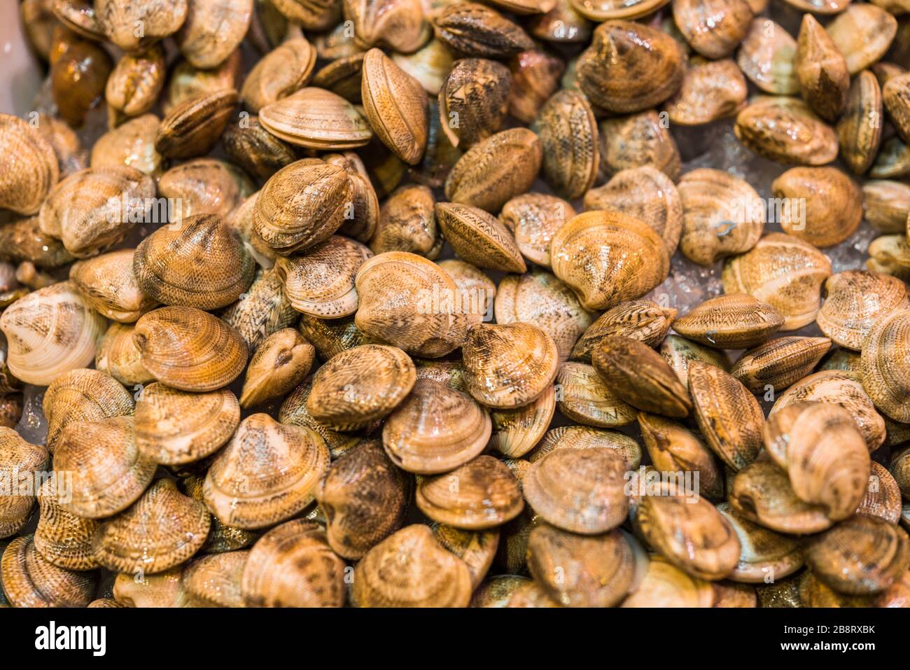 Deli by shell hi-res stock photography and images - Alamy