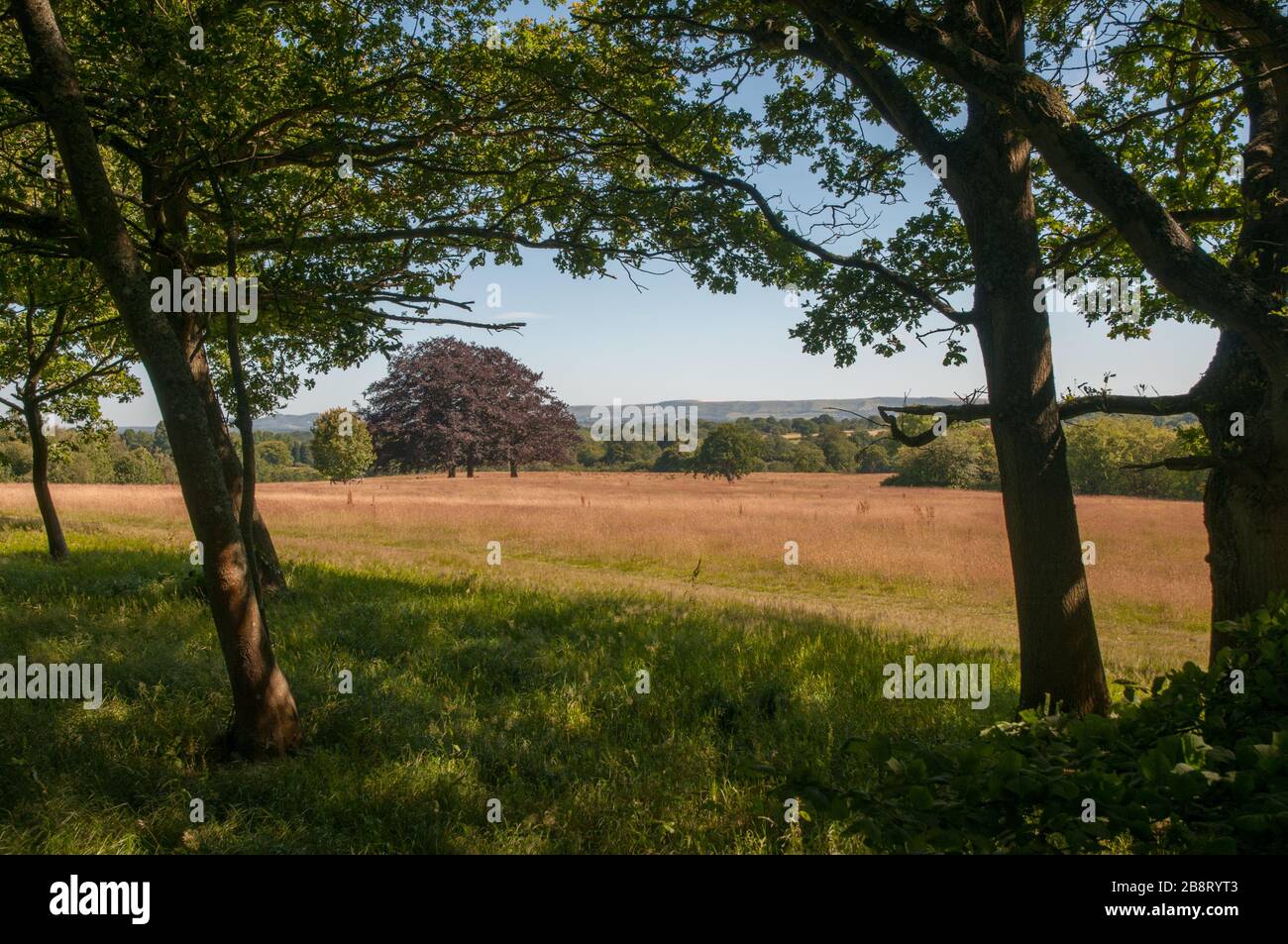 Cuckfield hi-res stock photography and images - Alamy