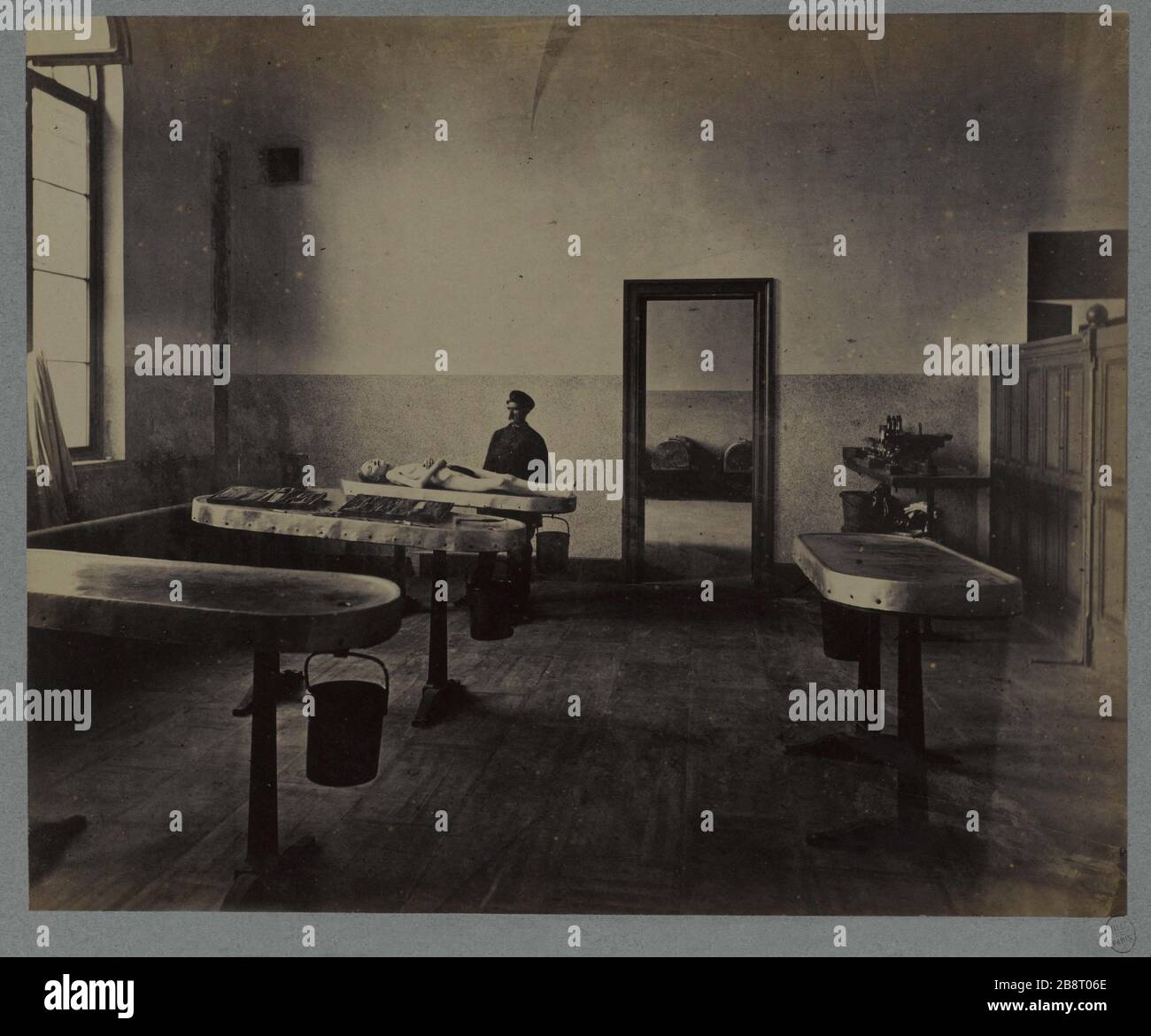 Salle dissection hi-res stock photography and images - Alamy