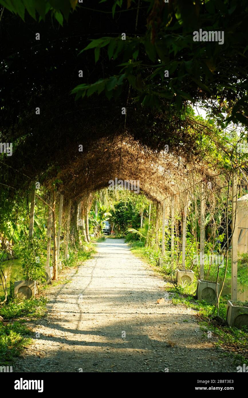 Path walk in a farm Stock Photo - Alamy
