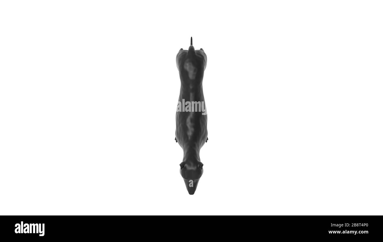 3D rendering of an animal pet watch dog computer generated model Stock ...