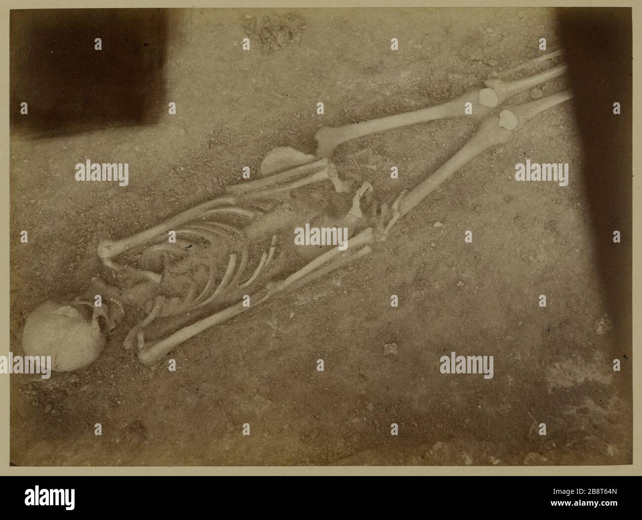 DISCOVER THE ENTIRE SKELETON LUTETIA AMPHITHEATER, 5TH DISTRICT, PARIS ...