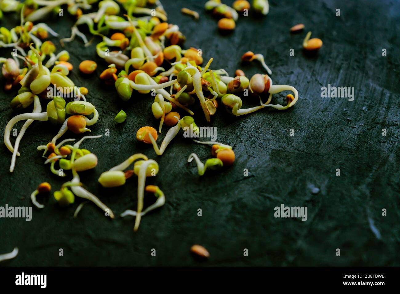 Radishes growing seed hi-res stock photography and images - Alamy
