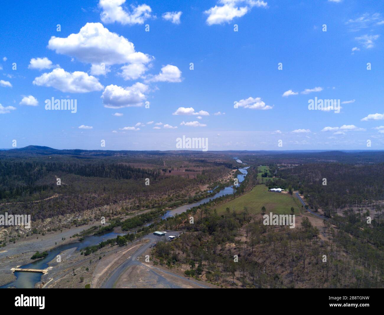 Australian lungfish hi-res stock photography and images - Alamy