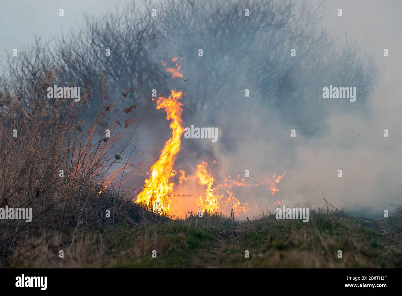 Smoke danger hi-res stock photography and images - Alamy