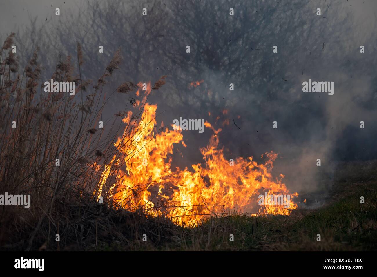 Strong smoke hi-res stock photography and images - Alamy