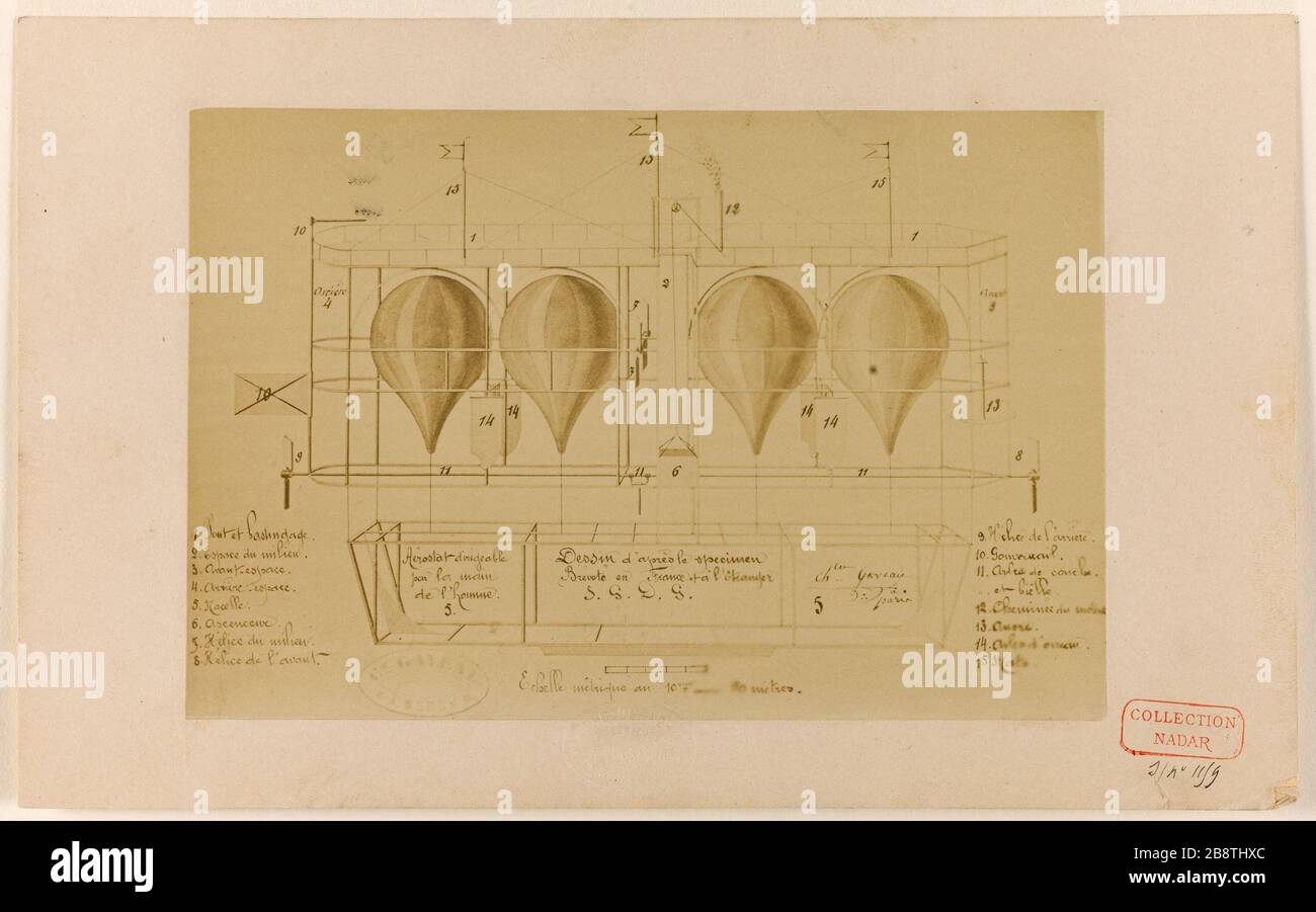 Patented specimen hi-res stock photography and images - Alamy