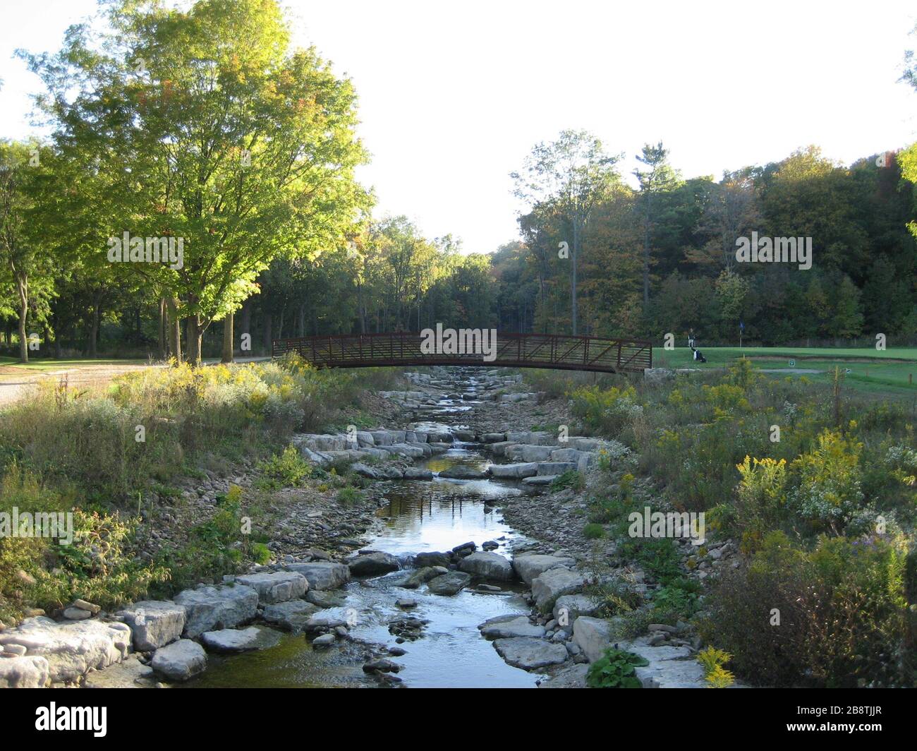 English kings hi-res stock photography and images - Alamy