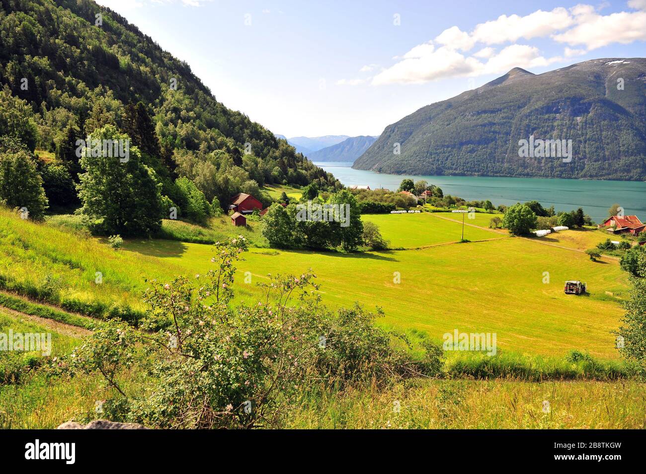Beautiful natural landscape on norwegian fjords on summer Stock Photo ...