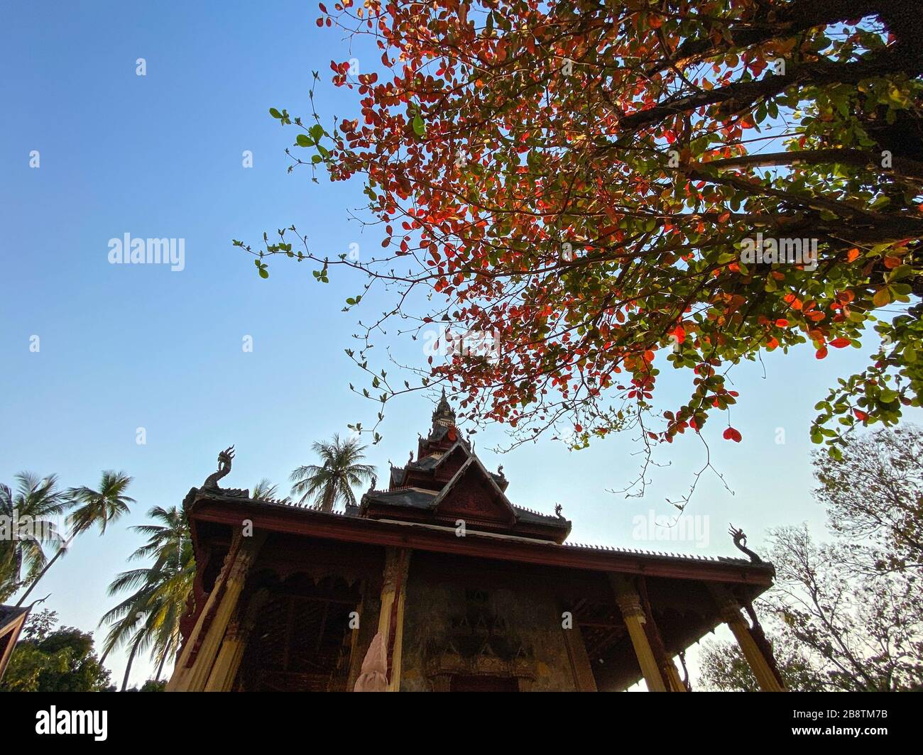 Ancient Buddhist pagoda in Vientiane, Laos. Lao Buddhism is a unique ...