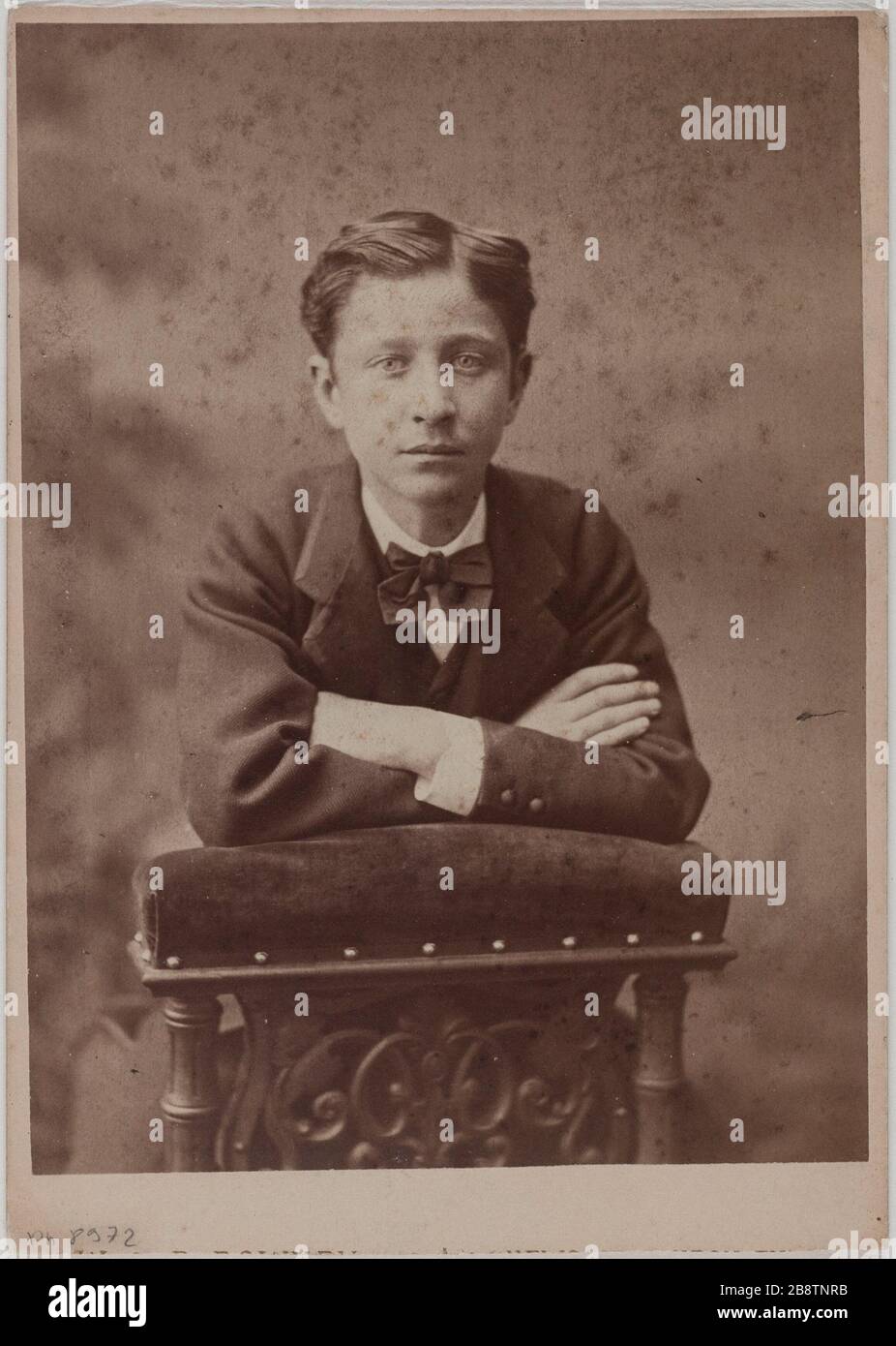 Napoleon Eugene Louis Jean Joseph Bonaparte (1856-1879), Prince ...