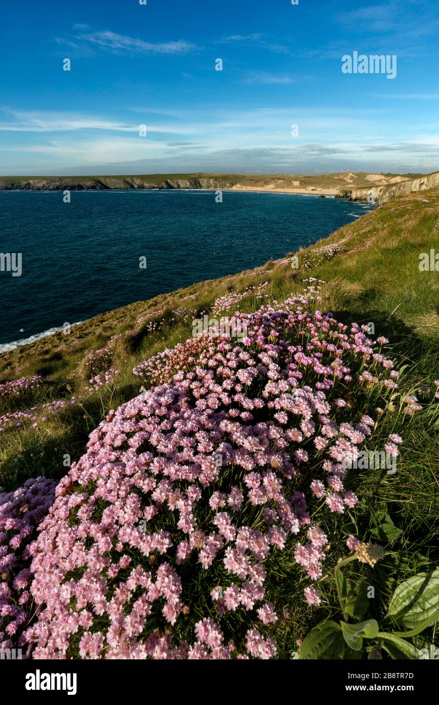 Penhale Point High Resolution Stock Photography and Images - Alamy