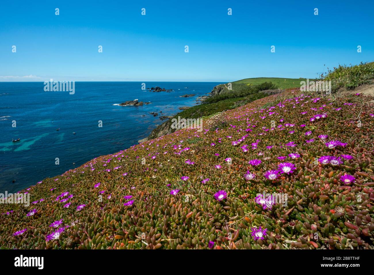 Lizard coast of cornwall hi-res stock photography and images - Alamy